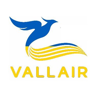 Vallair - Organigramme + Equipe Dirigeante